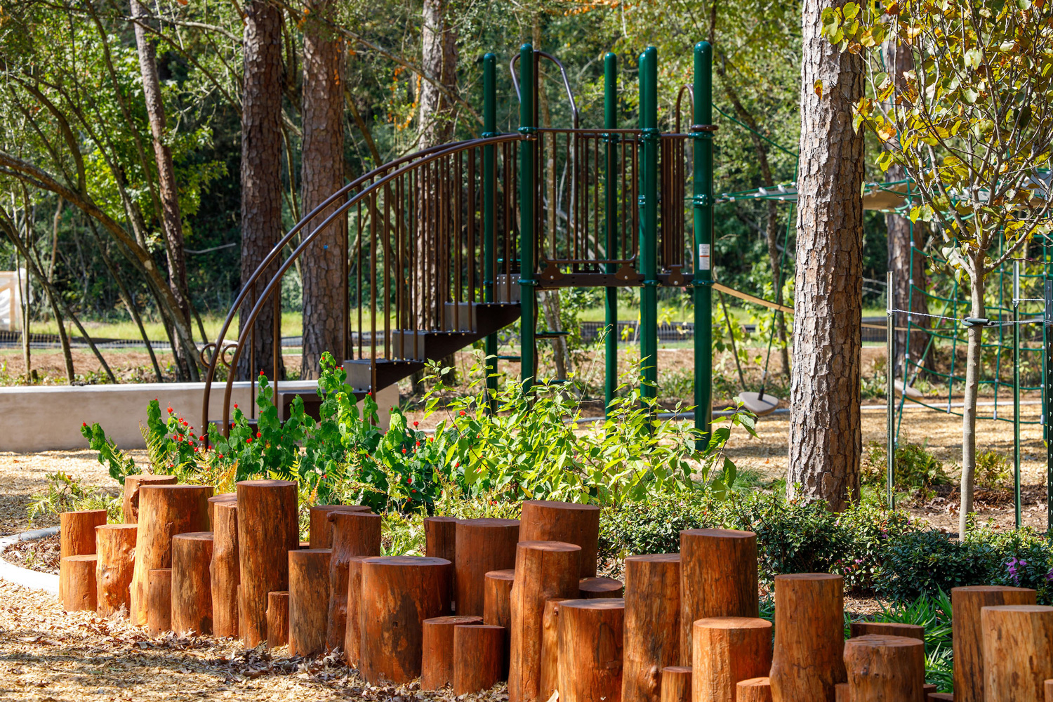 Sue Luce's Daisy Park - A Shining Gem Within The Woodlands Hills - The ...